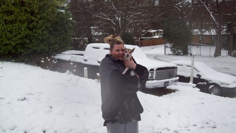 Snow in Seattle!?!?? - Street Source