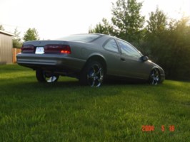 Bagged95Birds 1995 Ford T-Bird